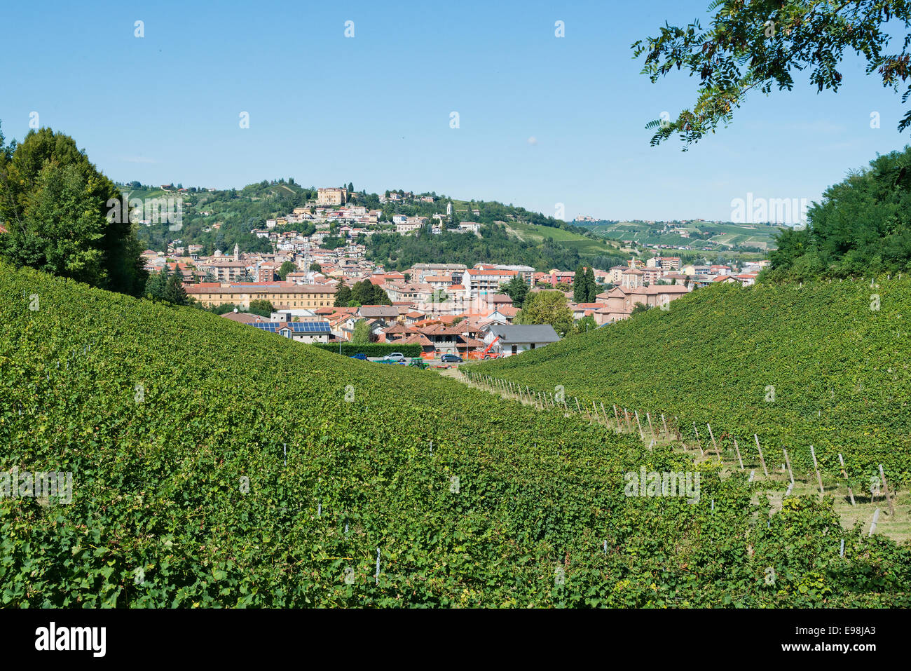 Canelli italy hi-res stock photography and images - Alamy