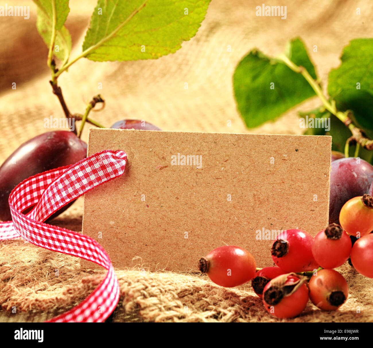 Country background hi-res stock photography and images - Alamy