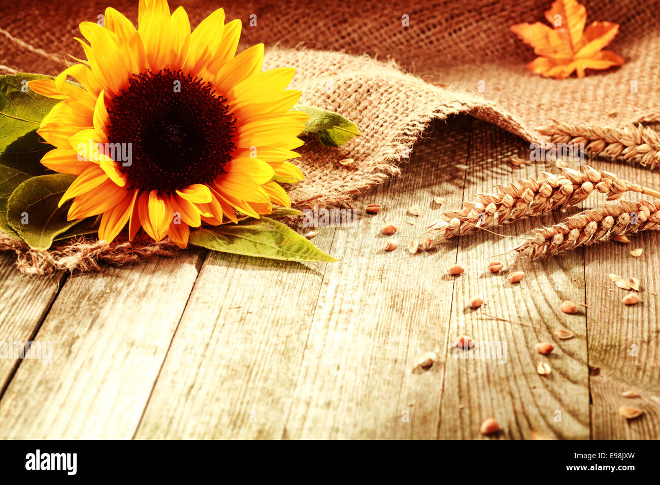 Rustic Background