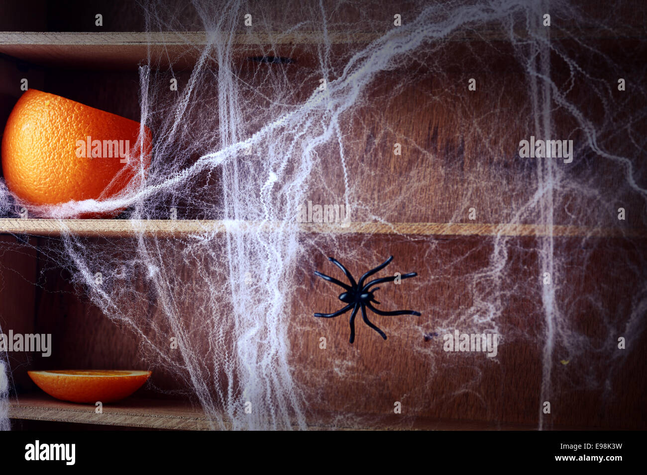 Spooky Halloween spider web background covering wooden shelves with a ...