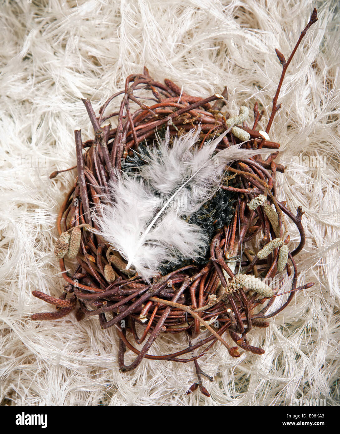 Hatching in the nest hi-res stock photography and images - Alamy