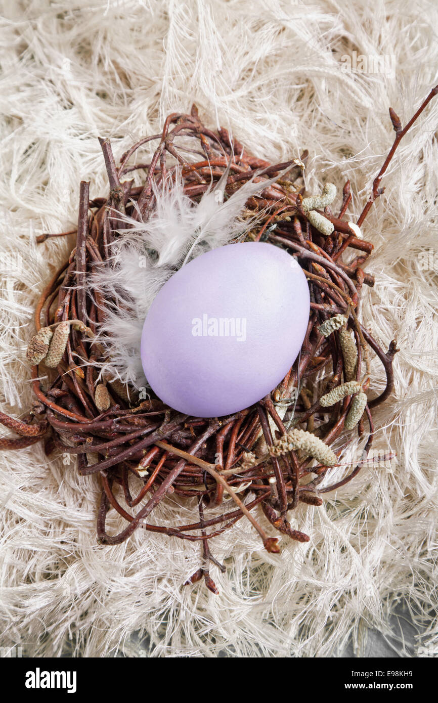 Colored egg in a small nest with wool background Stock Photo - Alamy