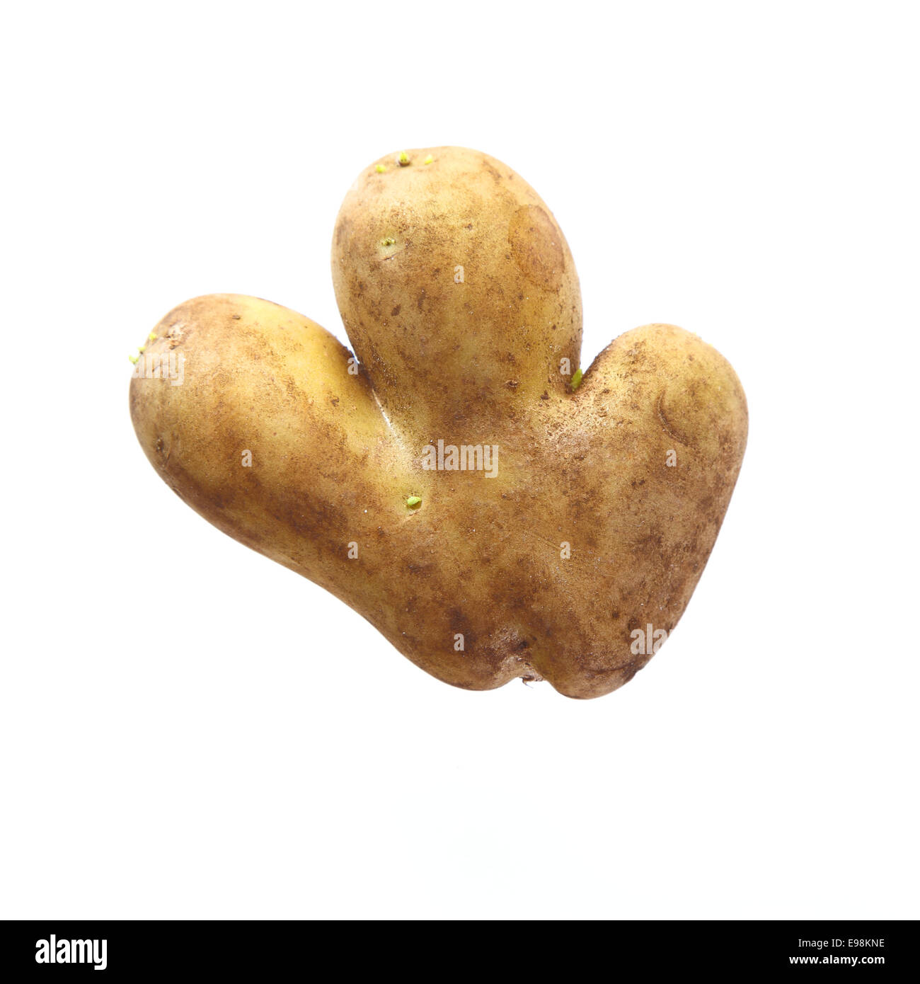Funny Potato isolated on white background. Looks very funny Stock Photo ...