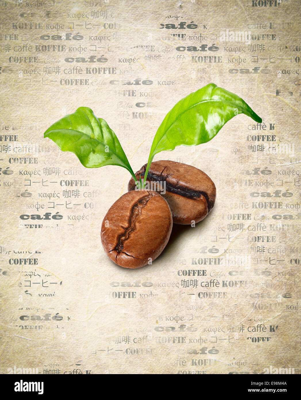 Tow beans hi-res stock photography and images - Alamy