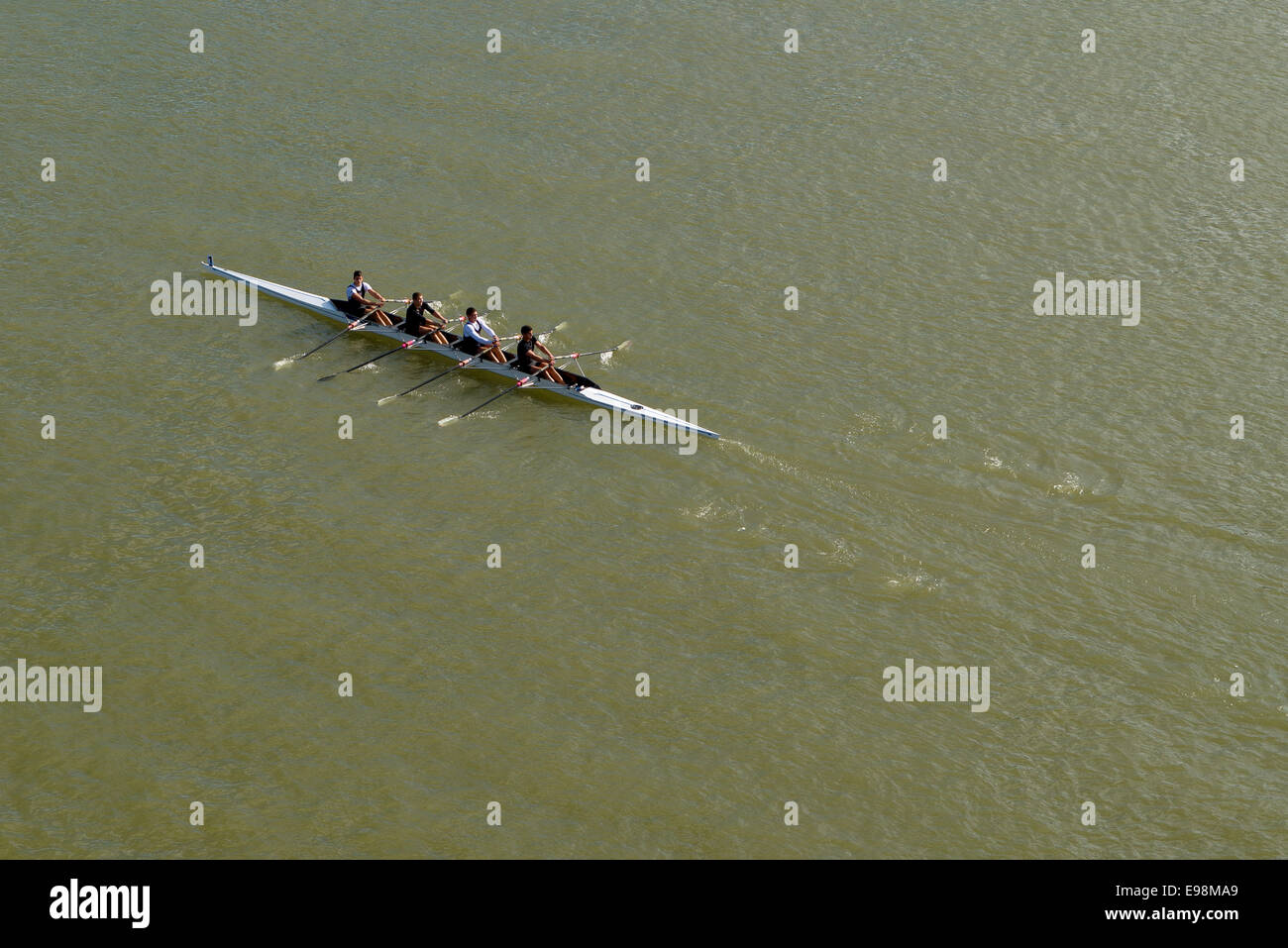 Rowing Race Aerial