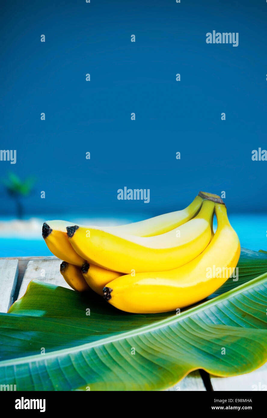 Bunch of ripe tropical bananas on a banana leaf with ocean backdrop ...