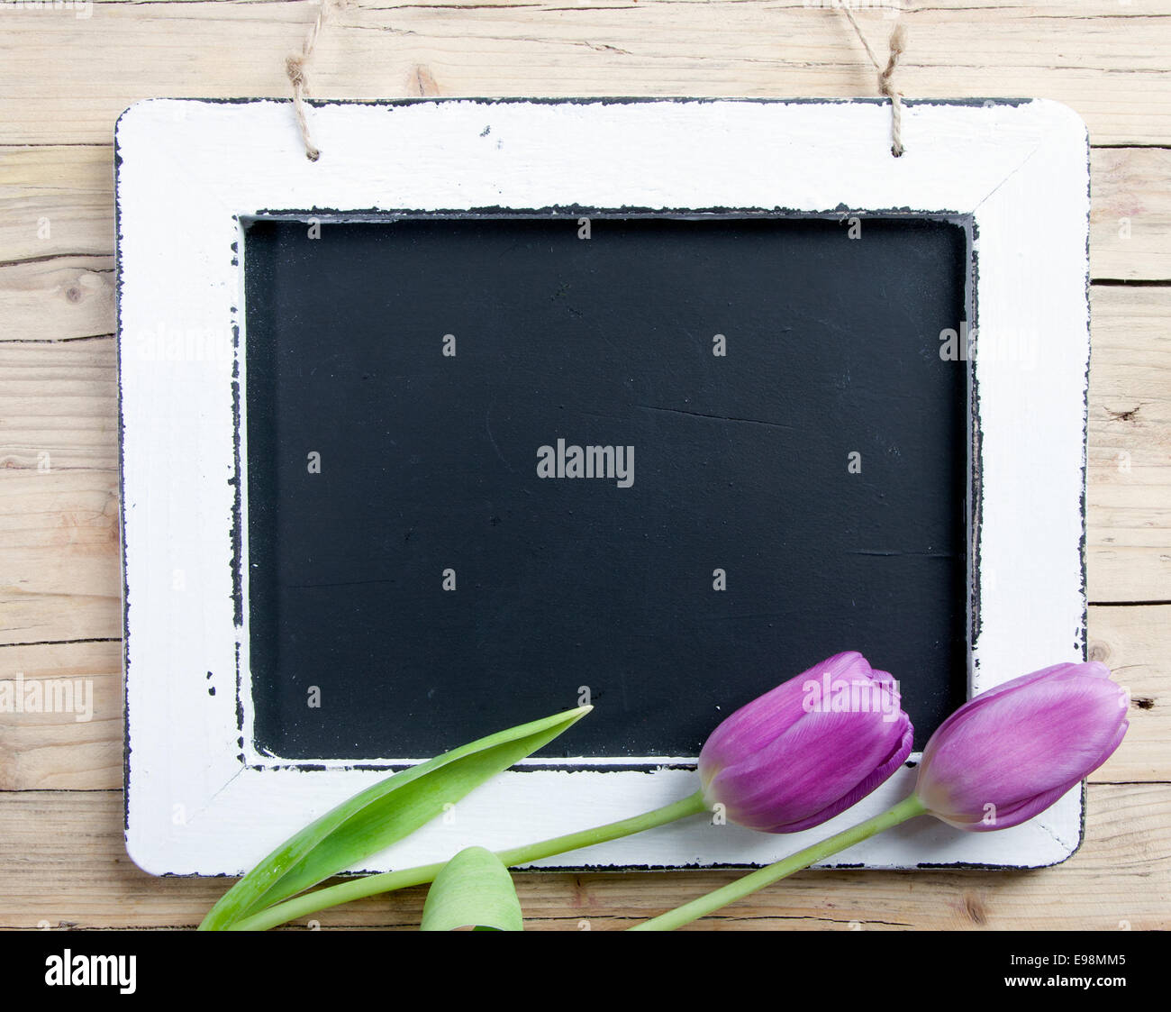 Blank message board hi-res stock photography and images - Alamy