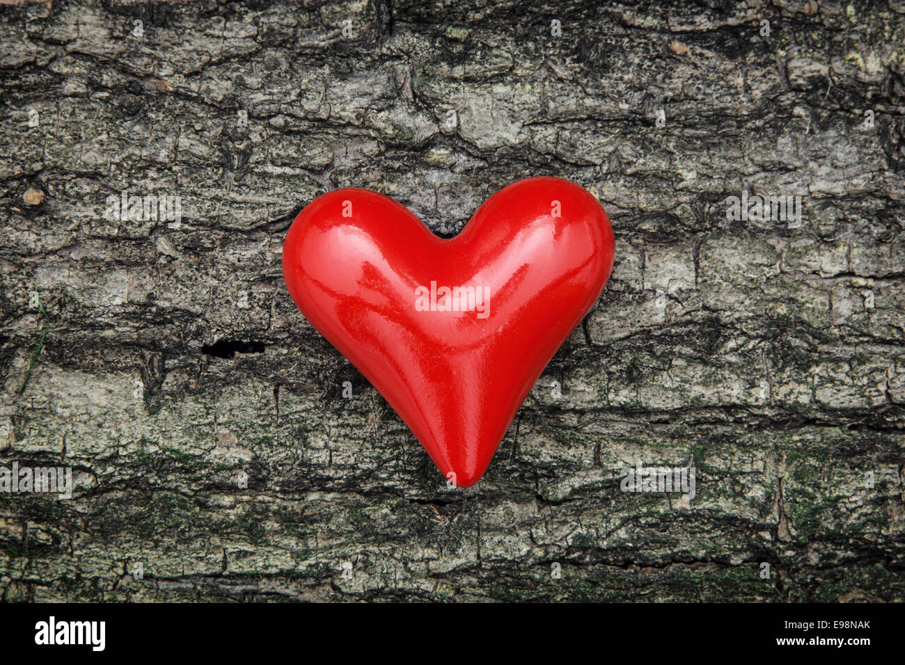 Red heart on the tree bark. Romantic love Stock Photo - Alamy