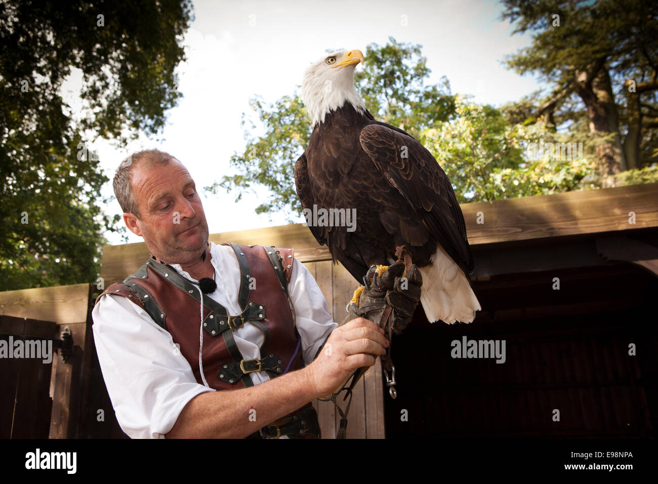 American castles hi-res stock photography and images - Alamy