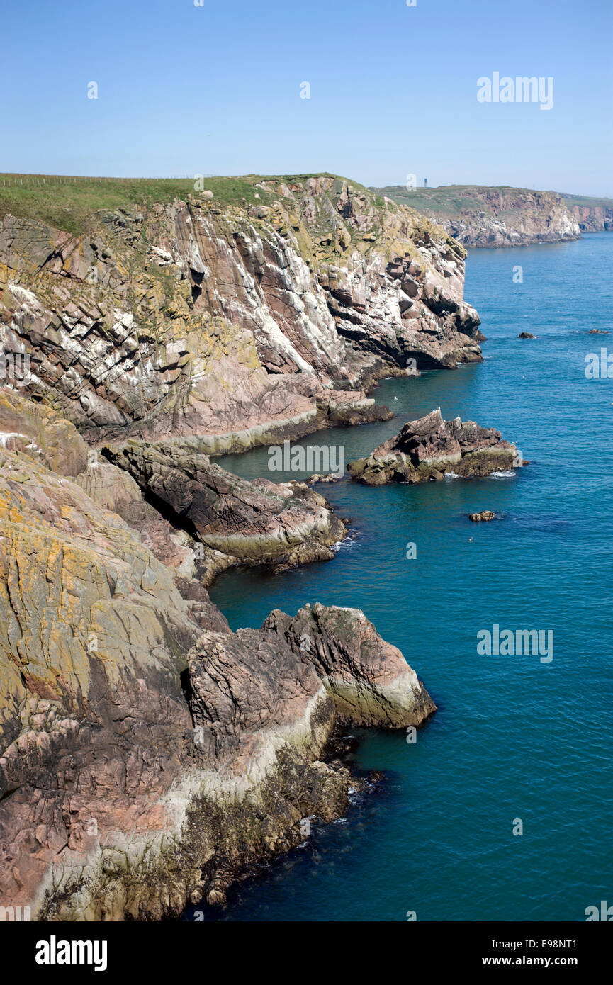 Buchan bay hi-res stock photography and images - Alamy