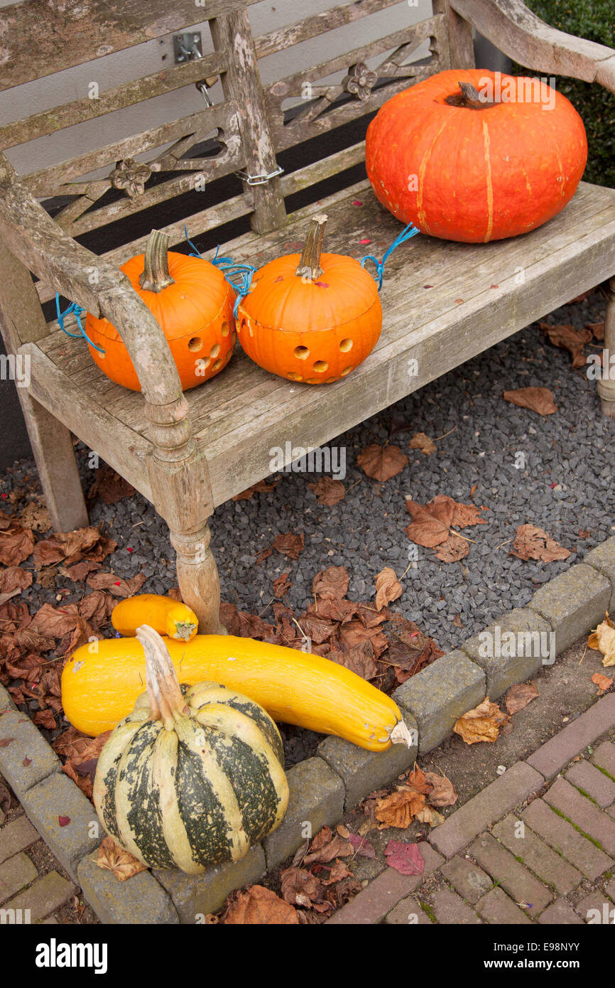 Wooden bench with pumpkins hi-res stock photography and images - Alamy