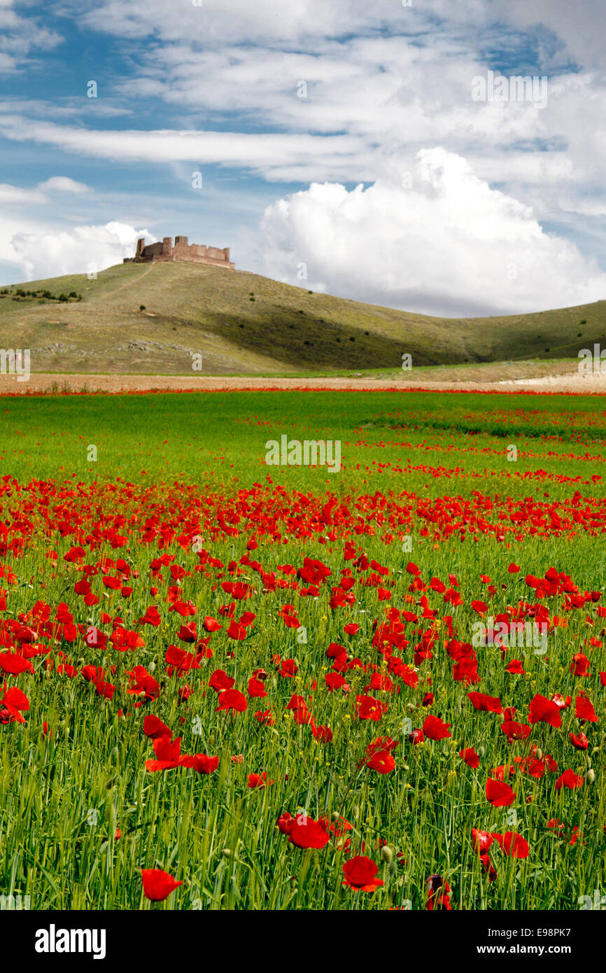 Castles green hi-res stock photography and images - Alamy