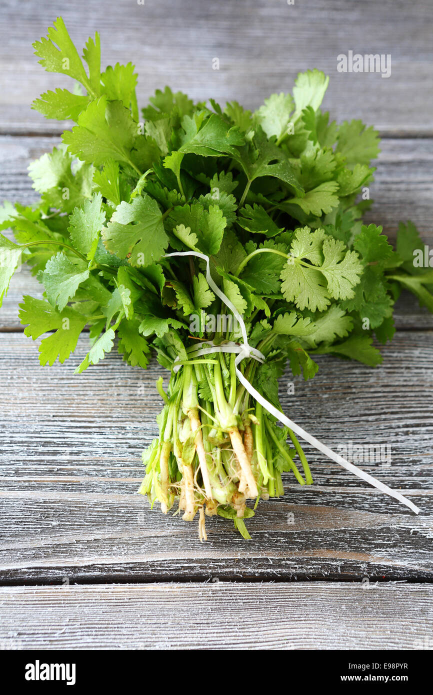 Cilantro bunch hi-res stock photography and images - Alamy