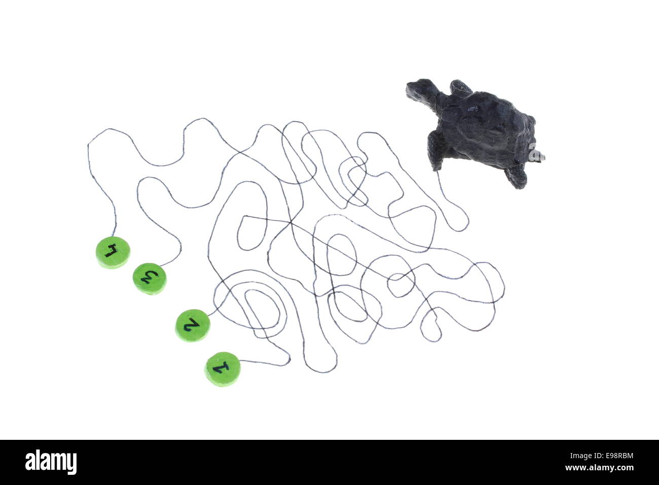 Labyrinth game tortoise with four routes Stock Photo - Alamy