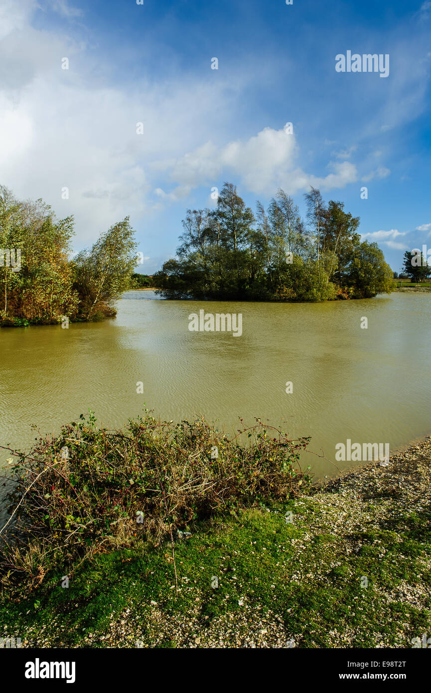 Cadnam hi-res stock photography and images - Alamy