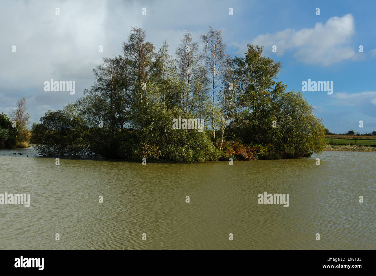 Cadnam Pond in the New Forest in early Autumn Stock Photo - Alamy
