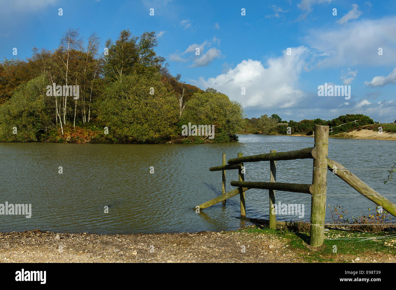 Cadnam New Forest High Resolution Stock Photography and Images - Alamy