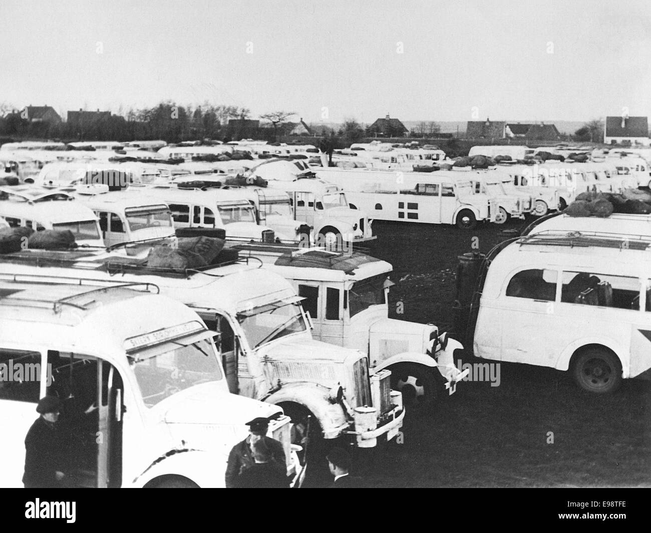 This image depicts the White Buses operation during World War II, where ...