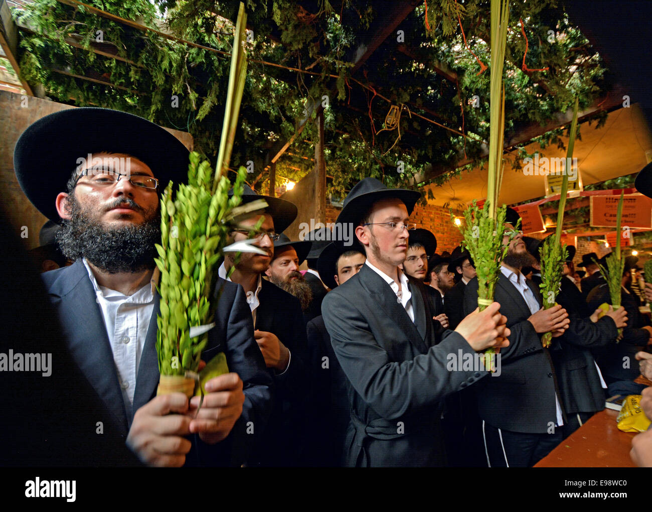 Portrait of an ultra religious Jewish men praying with an Esrog and ...