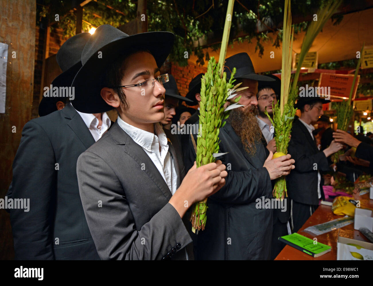 Portrait of an ultra religious Jewish men praying with an Esrog and ...
