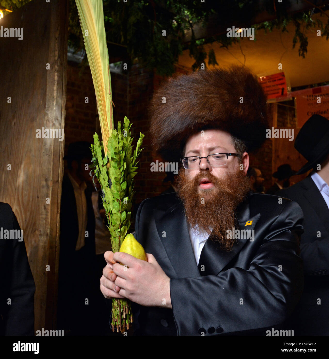 Portrait of an ultra religious Jewish man praying with an Esrog and ...