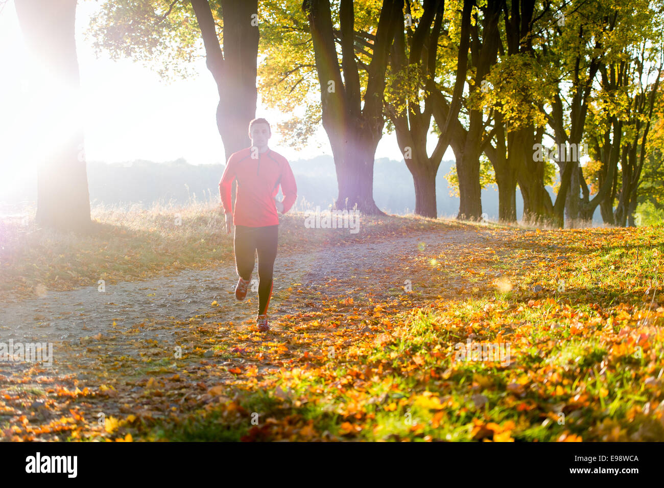 young man running in the park Stock Photo - Alamy