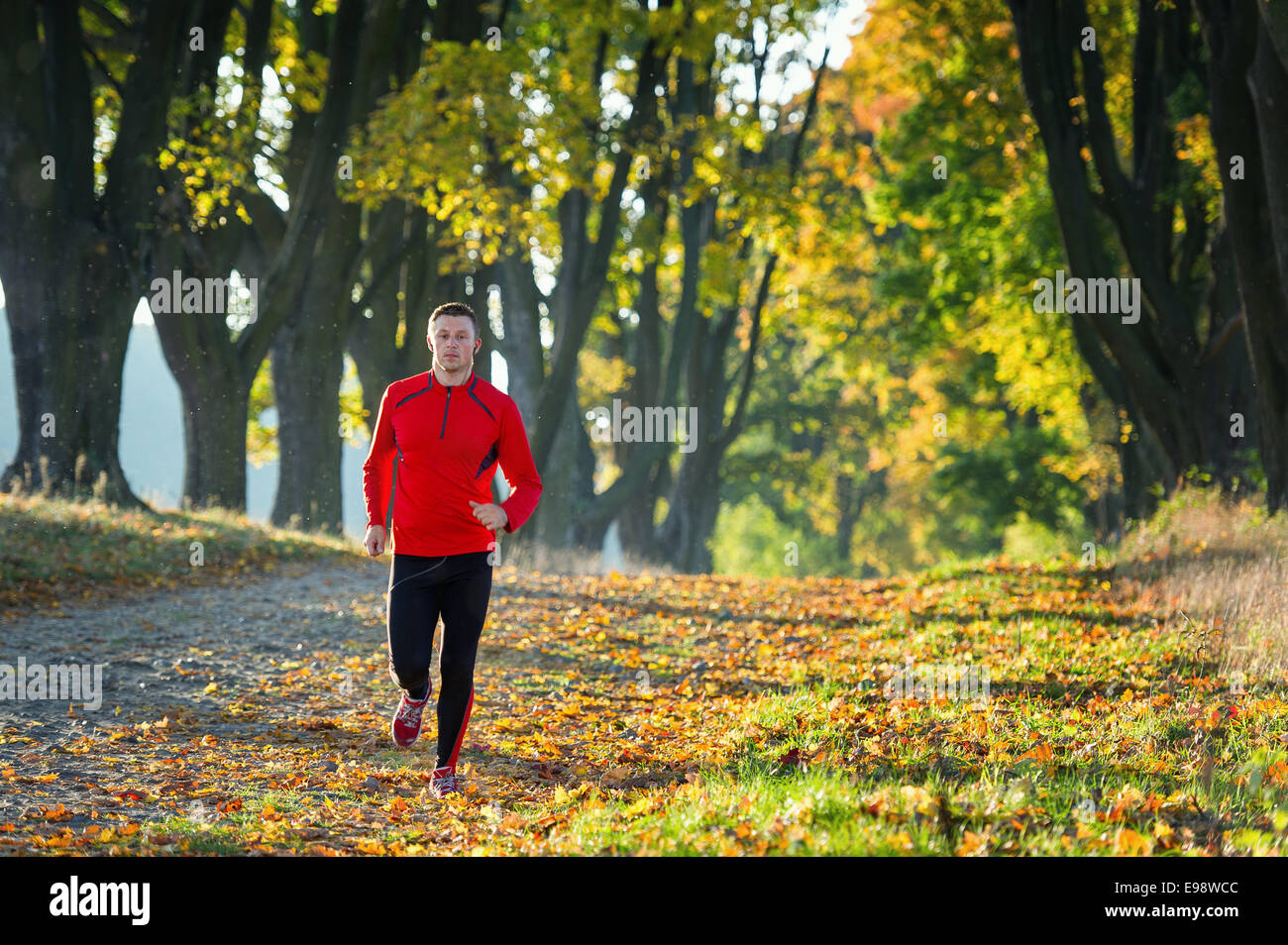 young man running in the park Stock Photo - Alamy