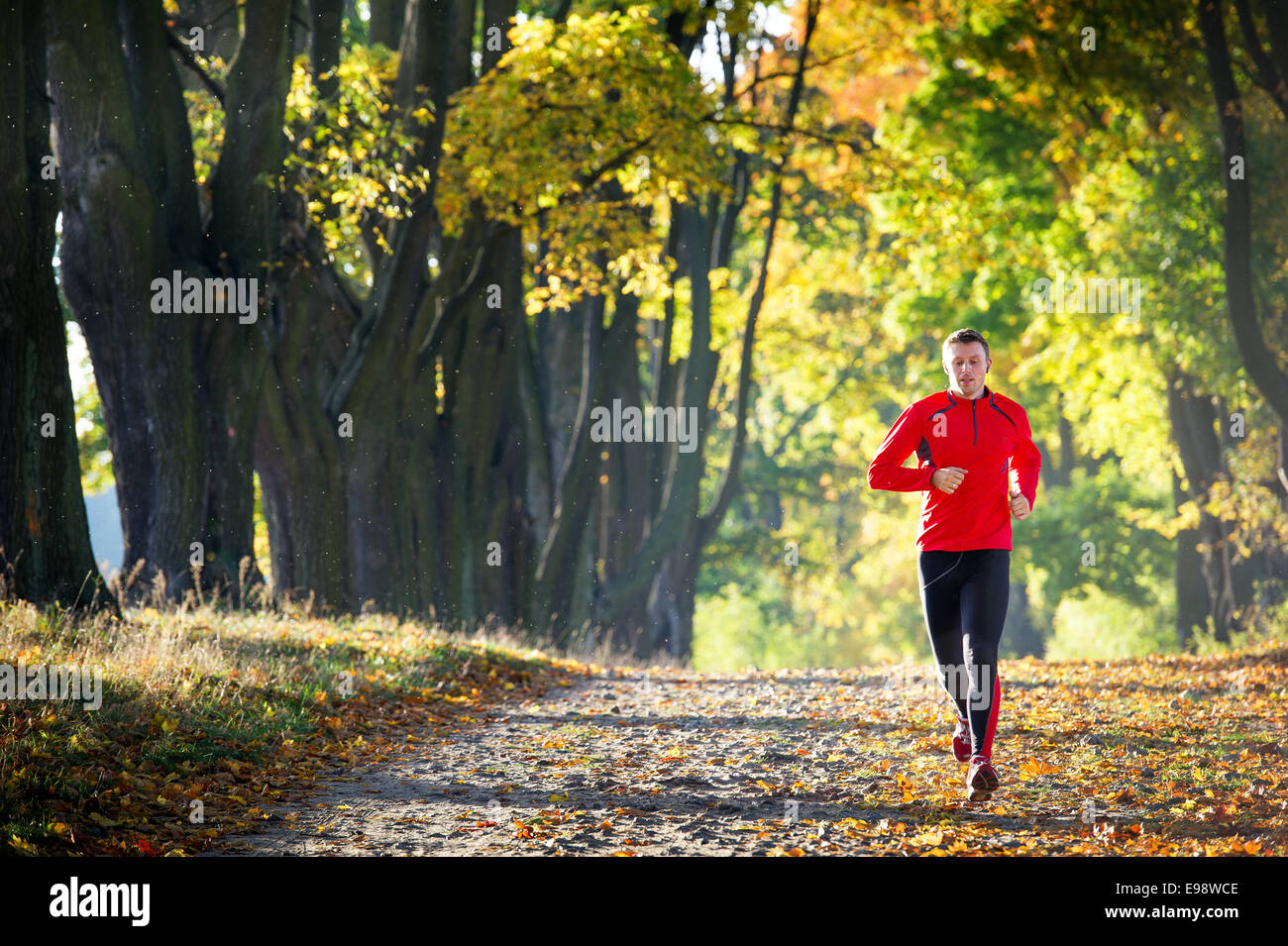young man running in the park Stock Photo - Alamy