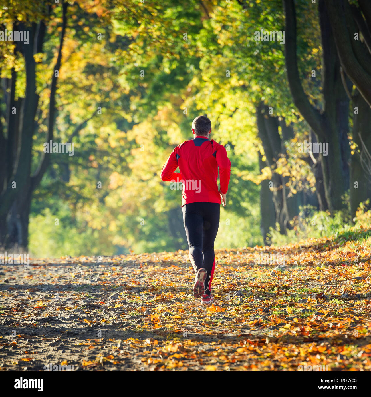 young man running in the park Stock Photo - Alamy