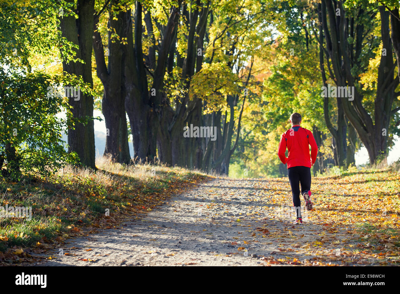 young man running in the park Stock Photo - Alamy