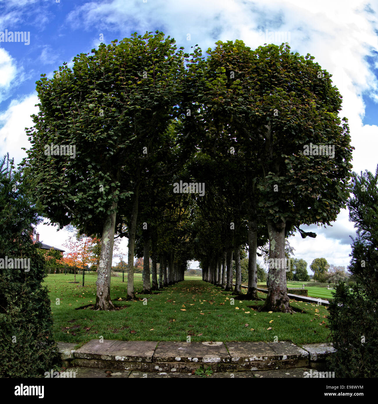 Mottisfont house hi-res stock photography and images - Alamy