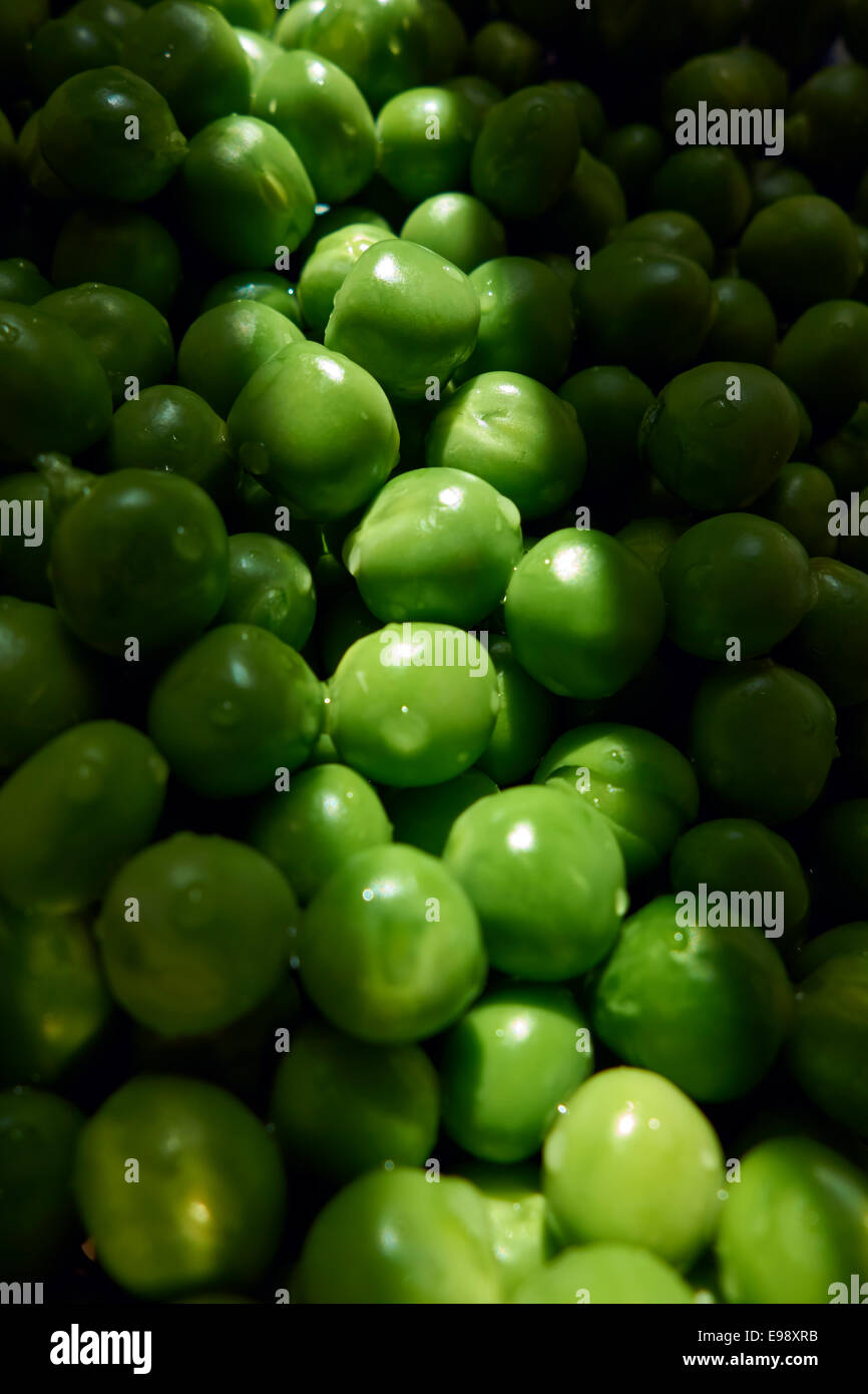 Freshly picked garden peas in sunlight Stock Photo - Alamy