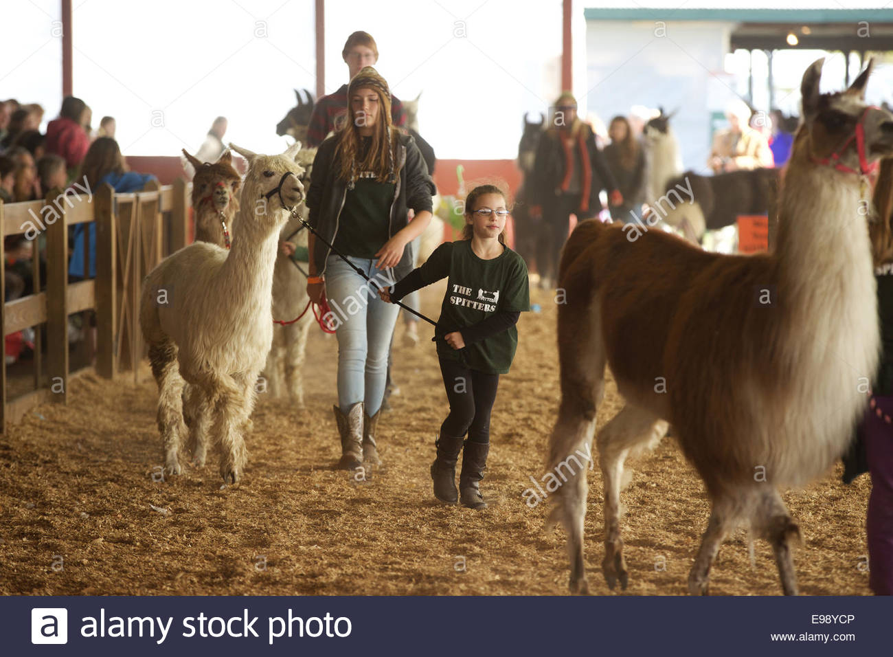 Rhinebeck Stock Photos & Rhinebeck Stock Images - Alamy