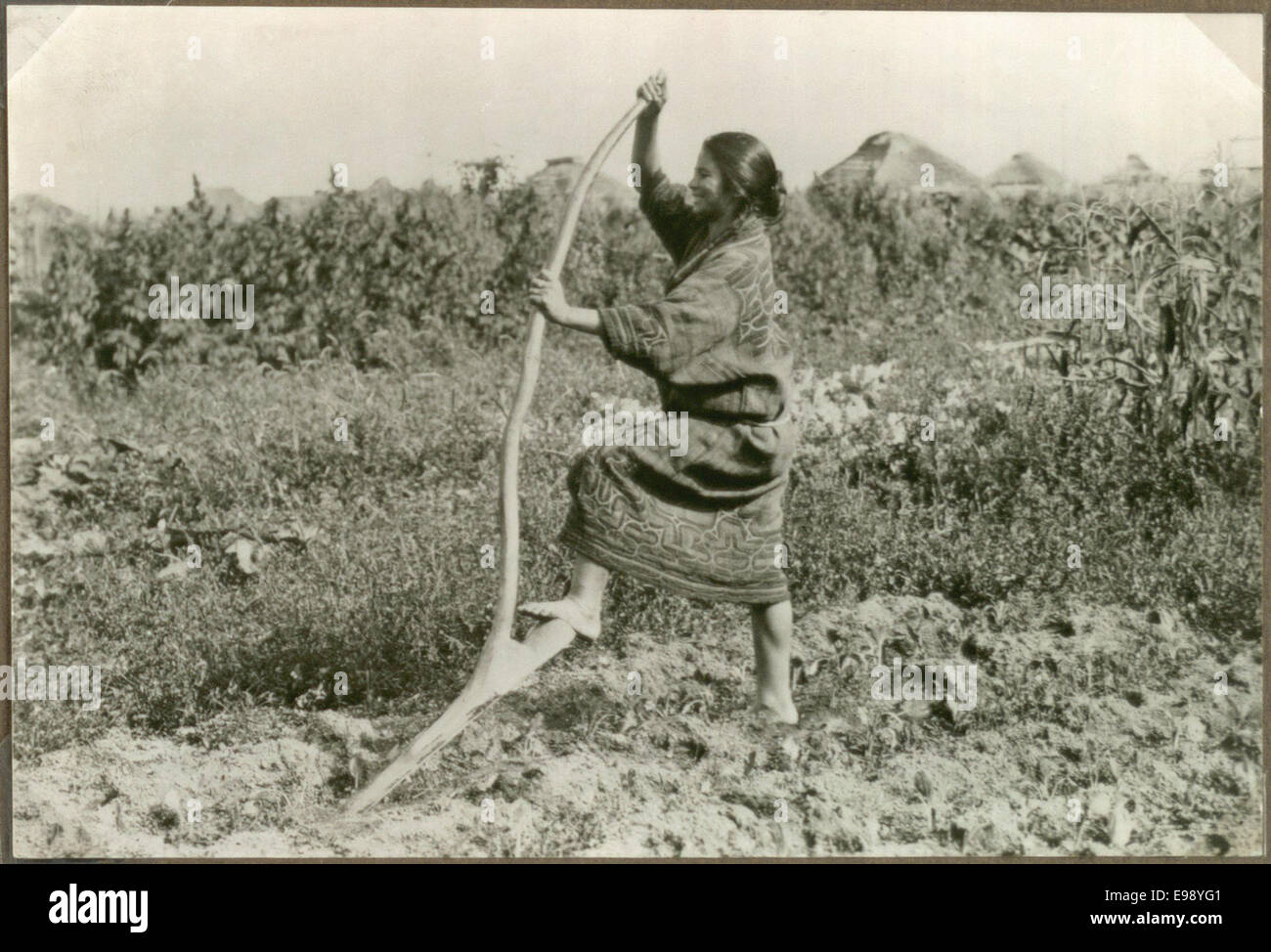 This photograph shows a woman holding a digging stick, likely engaged ...