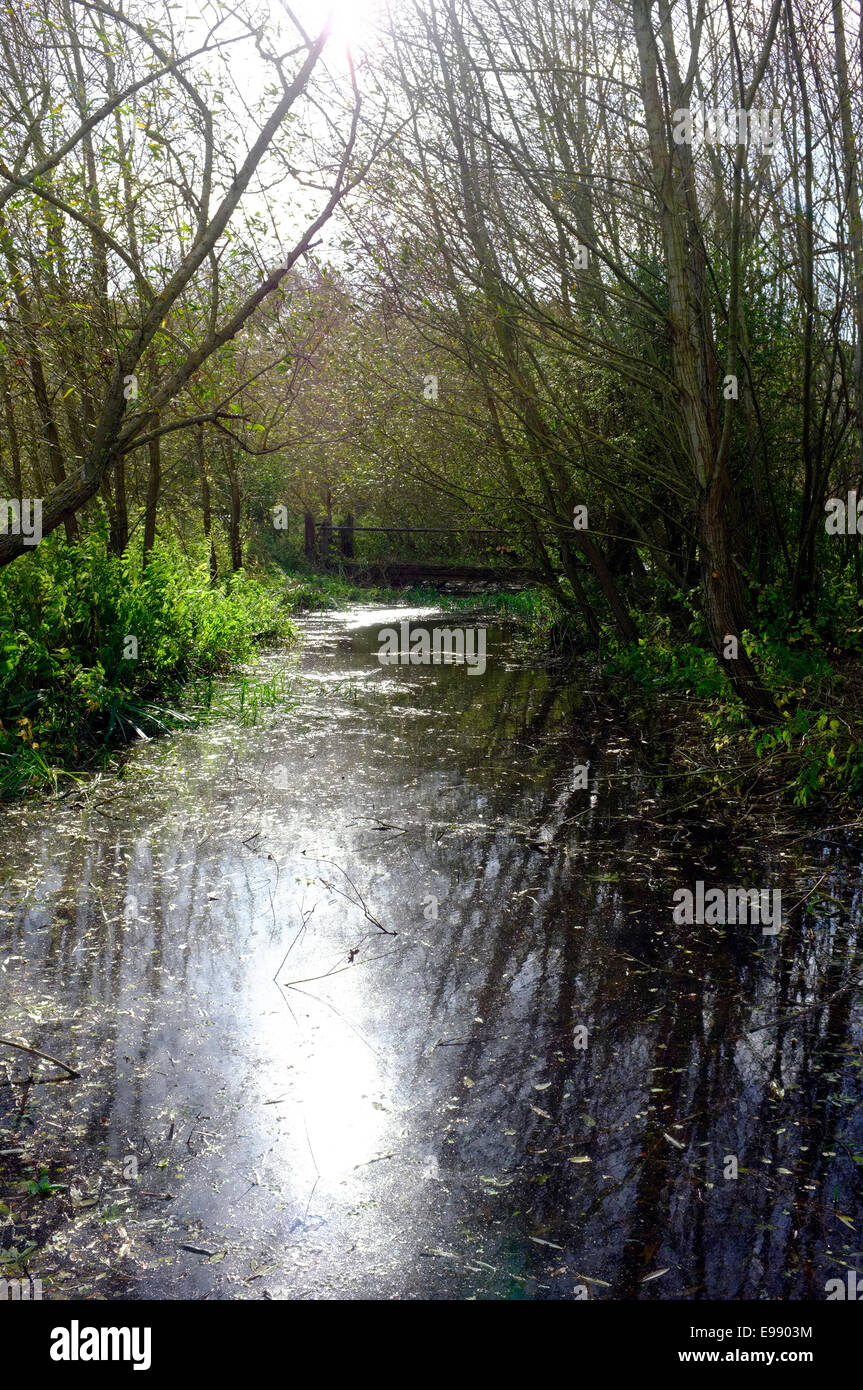 Sunlight Glistening On Water High Resolution Stock Photography and ...