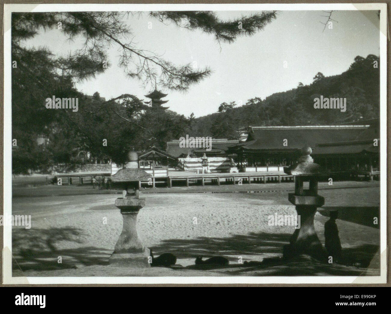 This photograph shows the iconic Miyajima Temple in Japan, with the ...