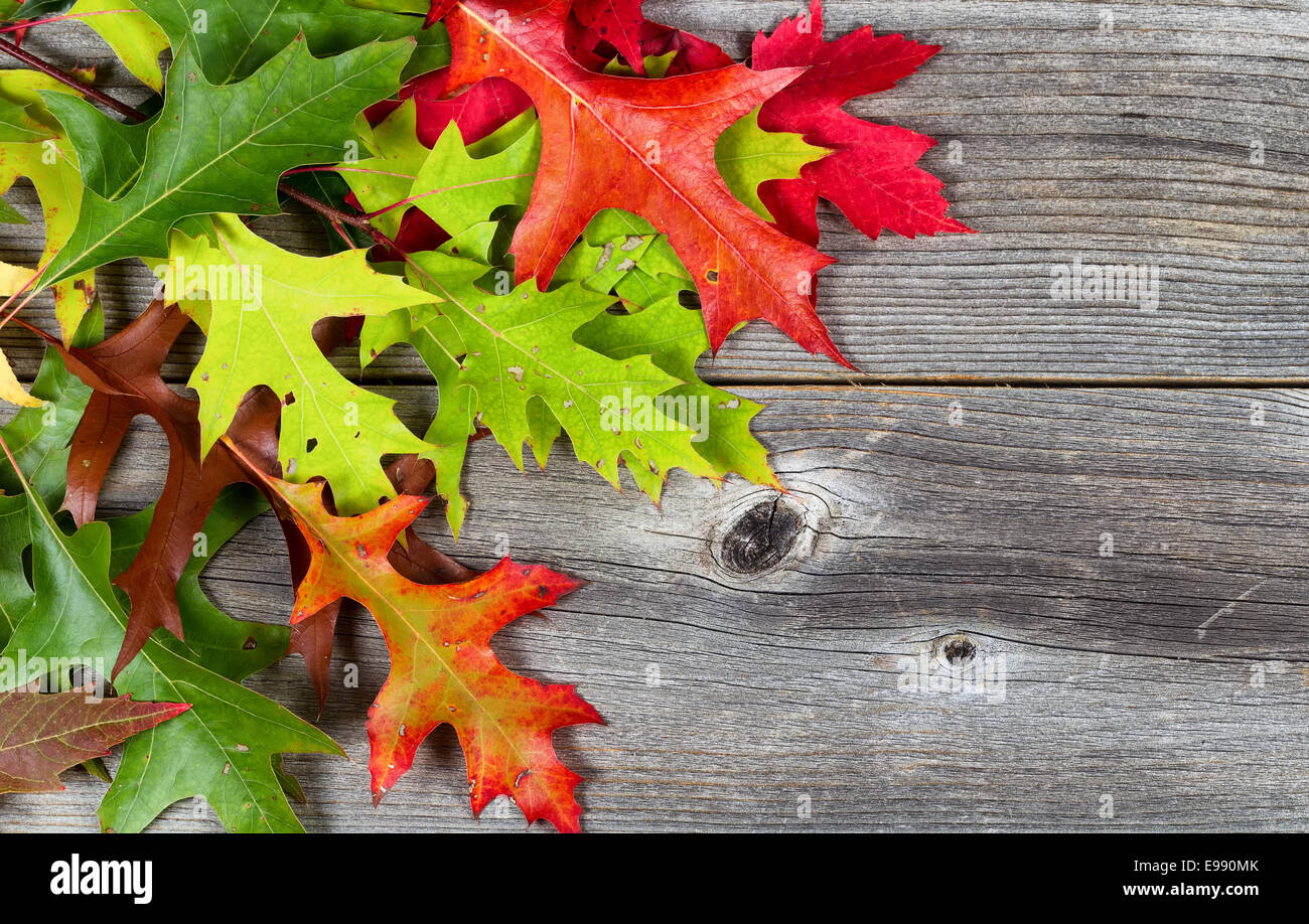 Rustic beauty of nature hi-res stock photography and images - Alamy