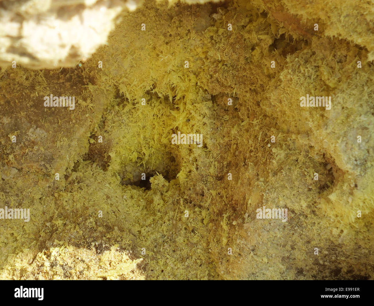 Occur at the crater walls of the Solfatara of toxic sulfur gases and ...