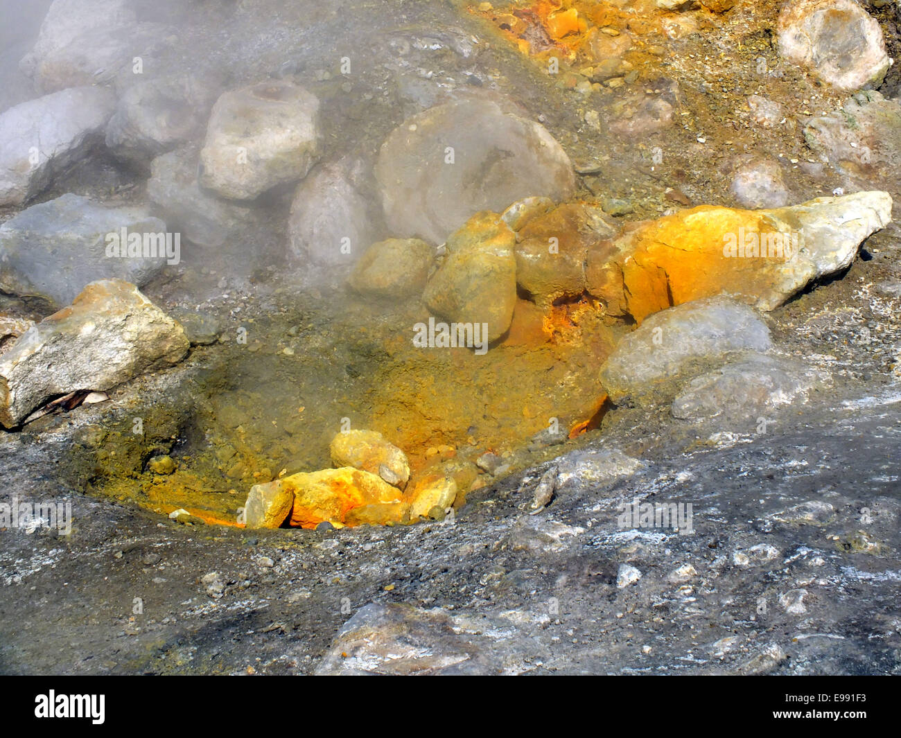 Occur at the crater walls of the Solfatara of toxic sulfur gases and ...