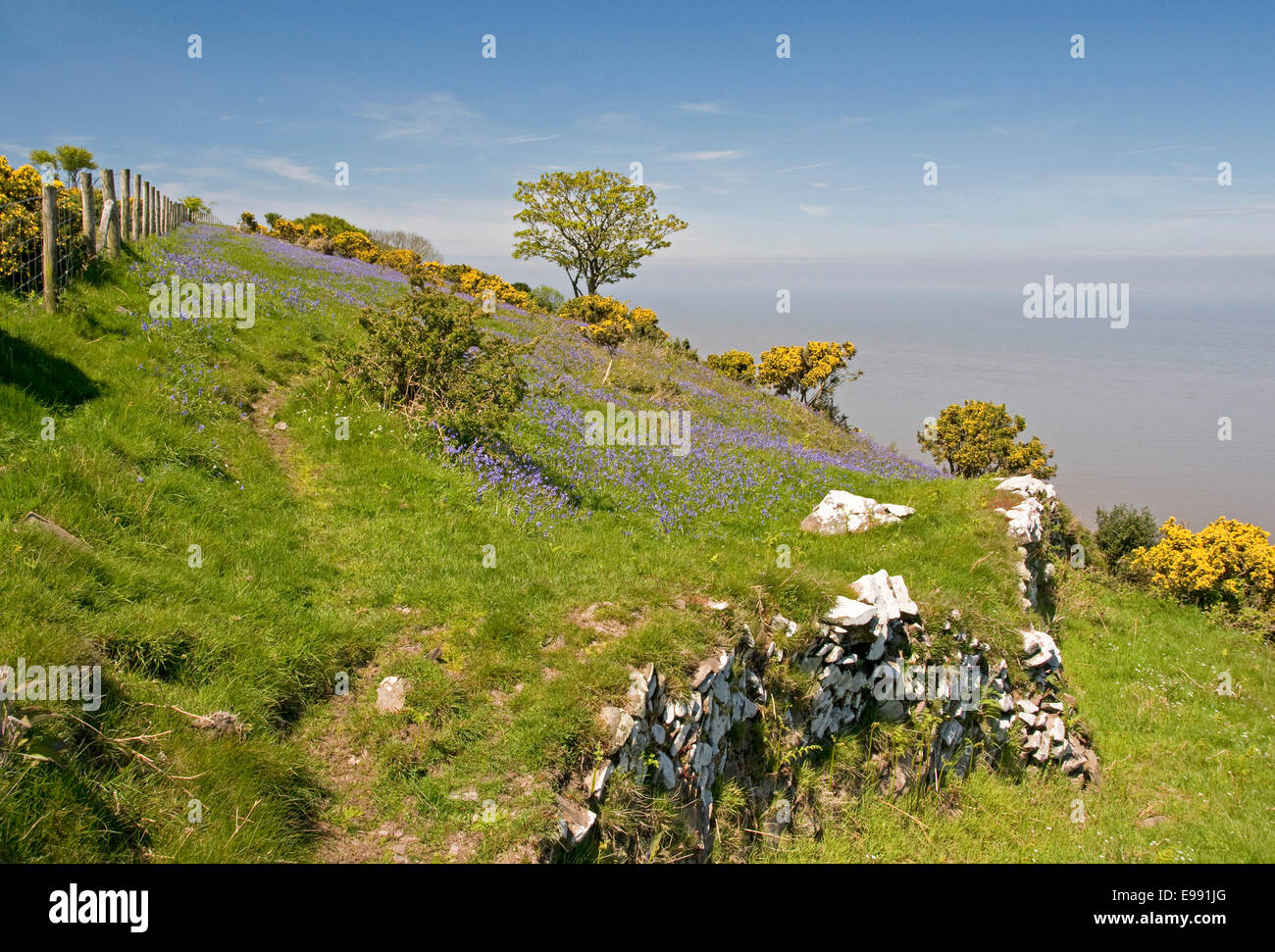 Selworthy beacon devon hi-res stock photography and images - Alamy