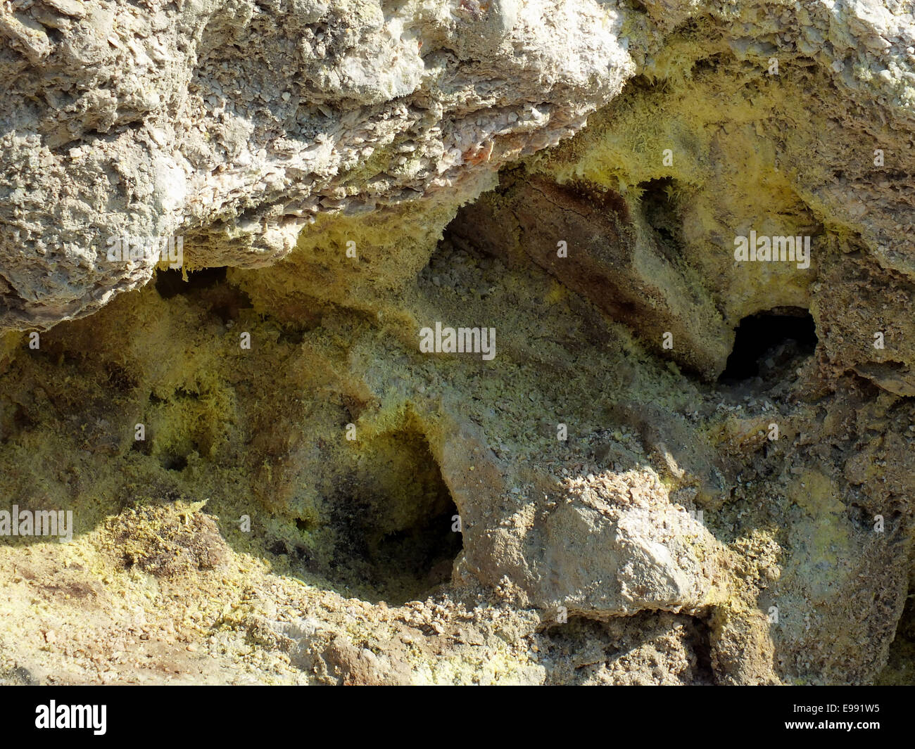 From the crater walls of the Solfatara occur from toxic sulfur gases ...