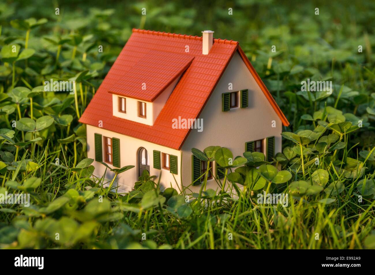 Architectural model of an older family house on a meadow Stock Photo ...