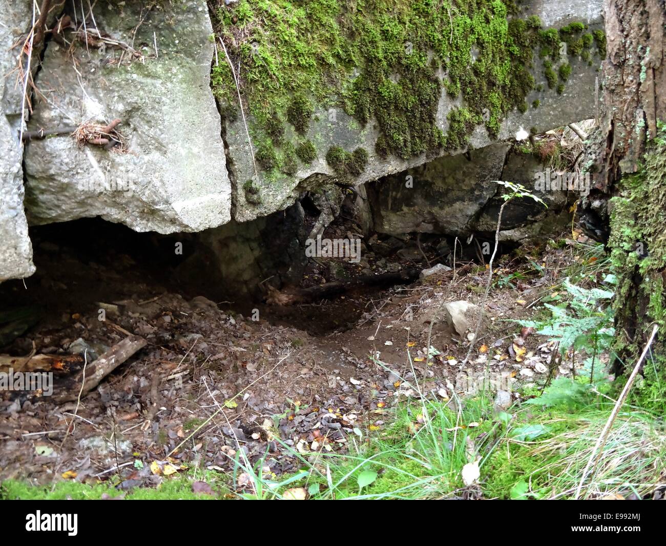Look inside the destroyed Bunker near Vossenack Eifel Stock Photo - Alamy
