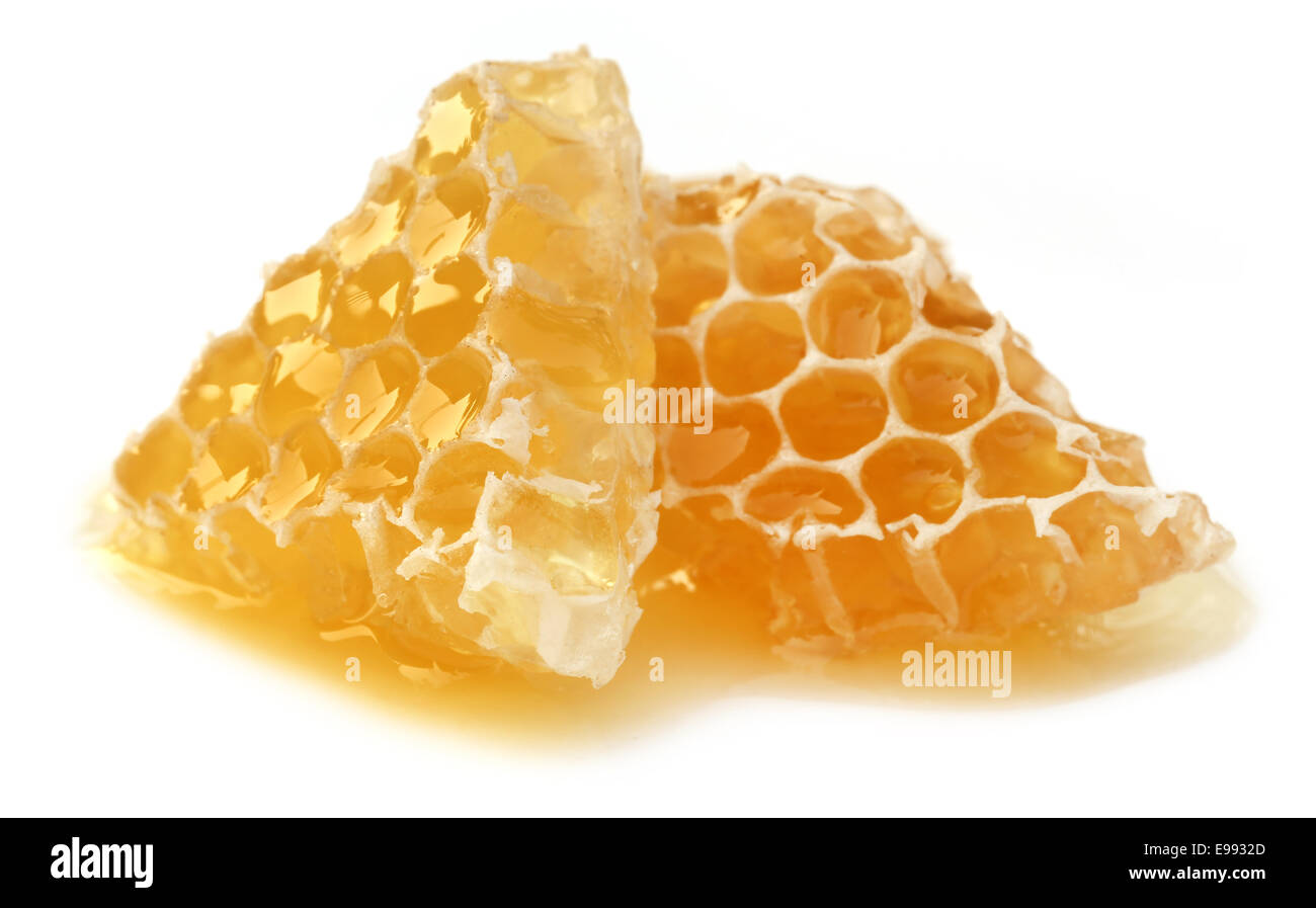 Honey comb over white background Stock Photo - Alamy
