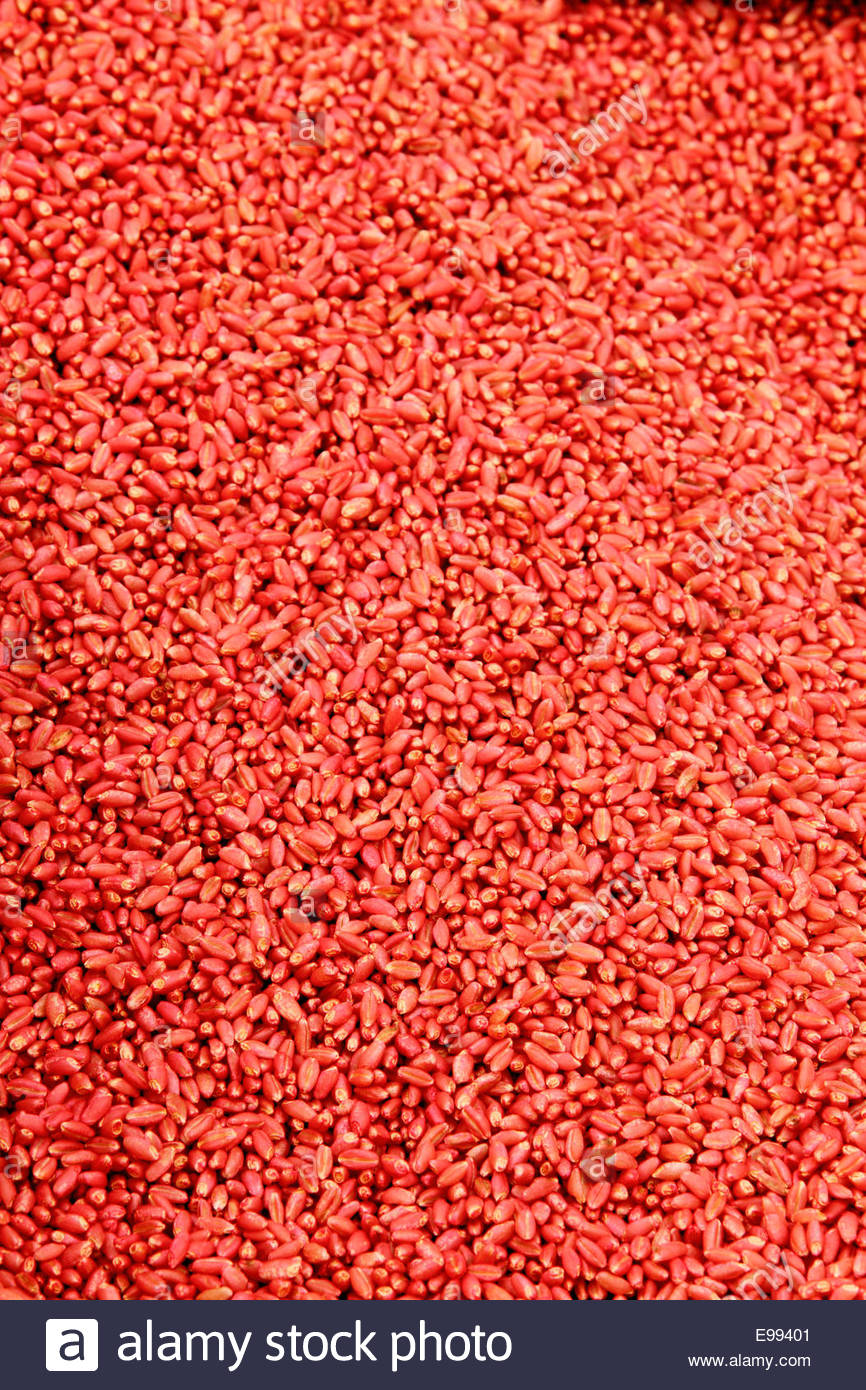Treated Seed Stock Photos & Treated Seed Stock Images - Alamy
