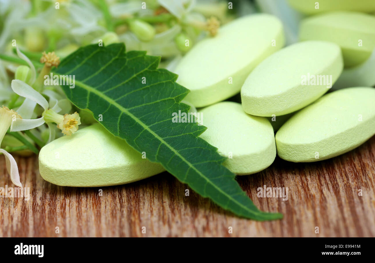 Neem flower hi-res stock photography and images - Alamy