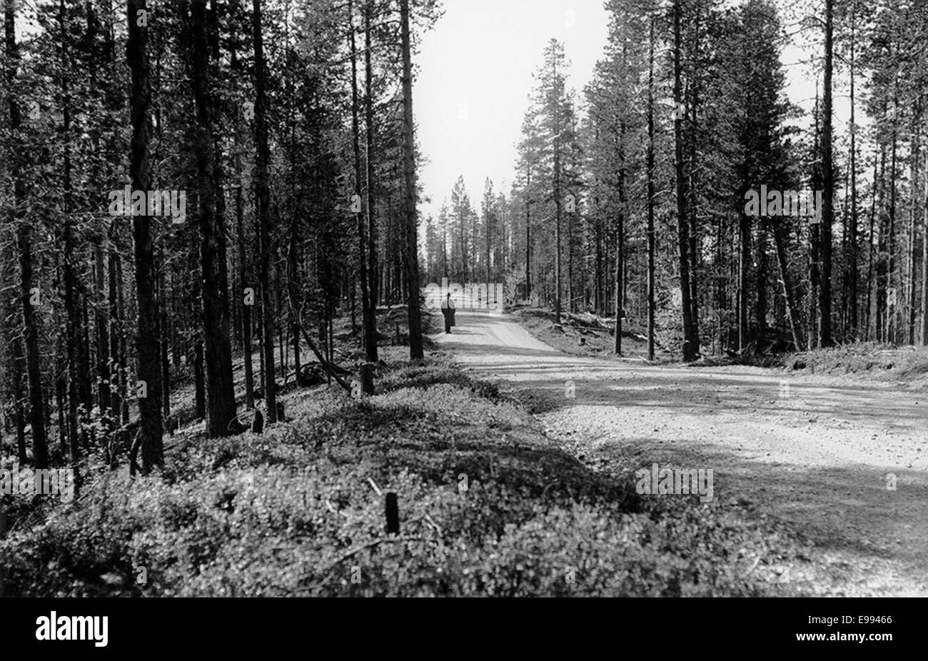 Reflecting path Black and White Stock Photos & Images - Alamy