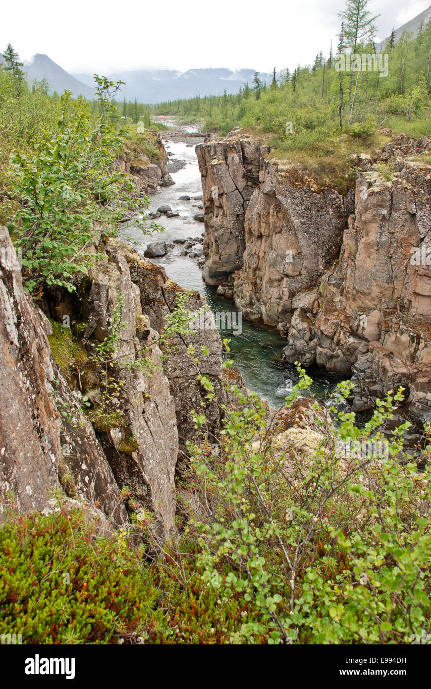 Rocky canyon of the mountain river. Russia, Taimyr Peninsula, Putorana ...