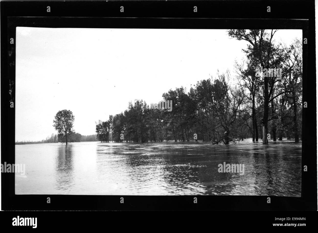 An image showing an old river, viewed from a dyke looking south. The ...