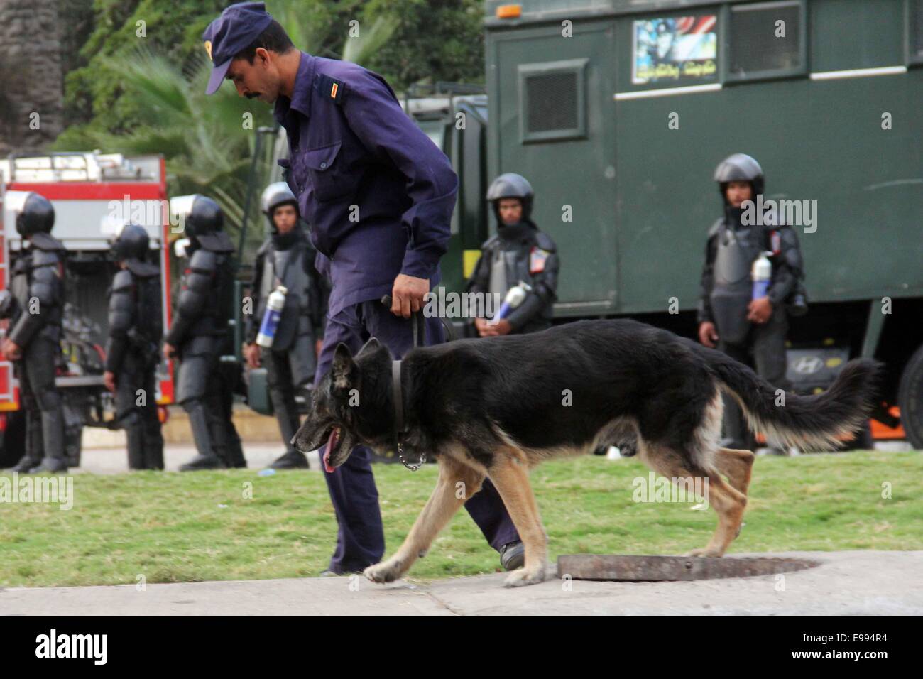 Cairo, Egypt. 22nd Oct, 2014. An Egyptian policeman with a security dog ...
